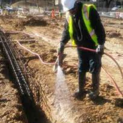 Termite Proofing – Dynamic Pest Control